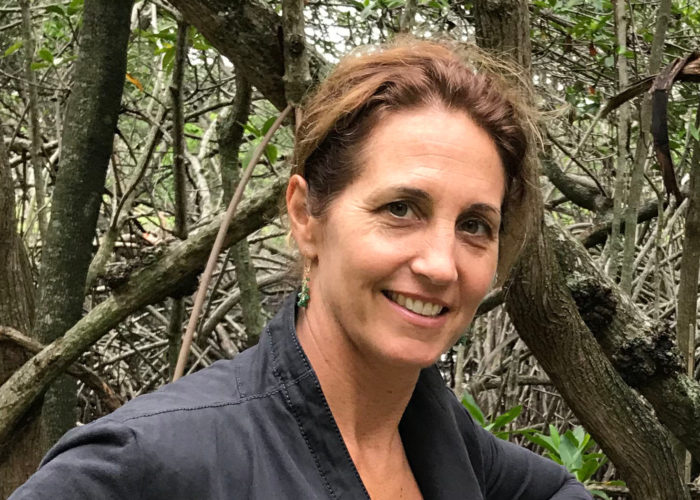 Episode 8: Amy Clement – Deep Convection